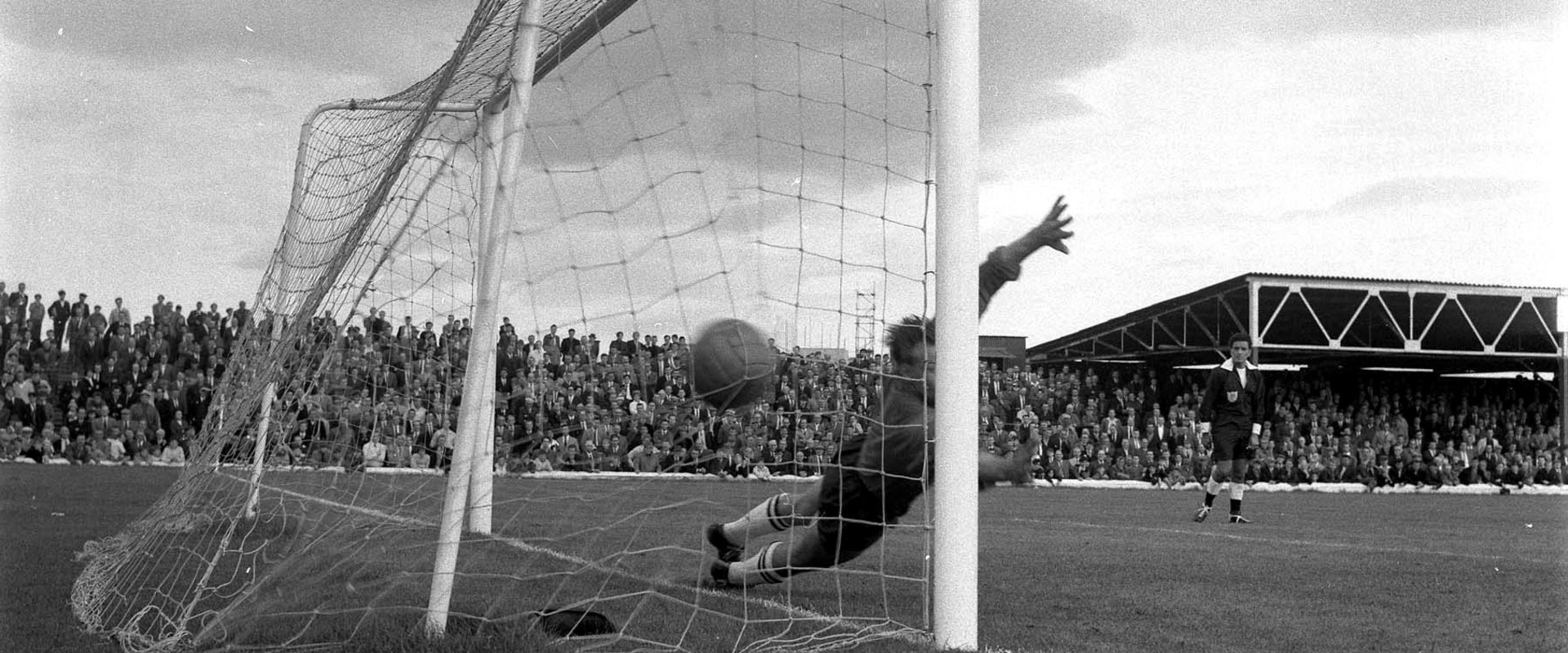 Covering the Latest Updates and Plans of Chester FC: A Must-Read for ...